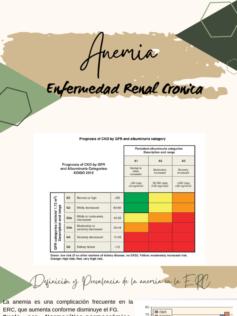 Anemia Erc | PDF | Abdomen | Enfermedades y trastornos
