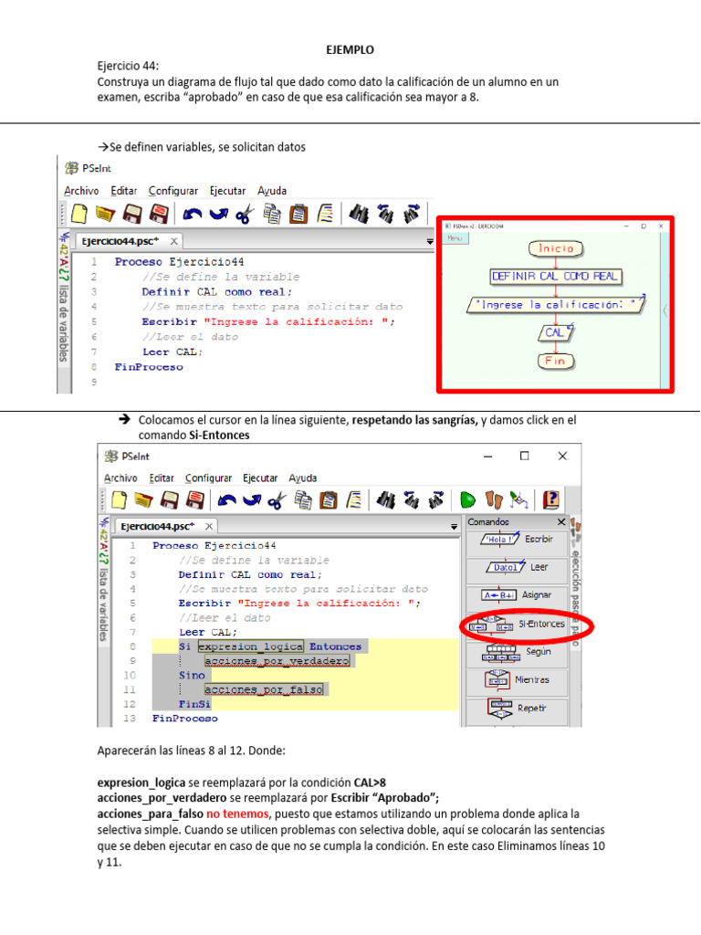 Ejemplo - Selectiva Simple en Pseint | PDF