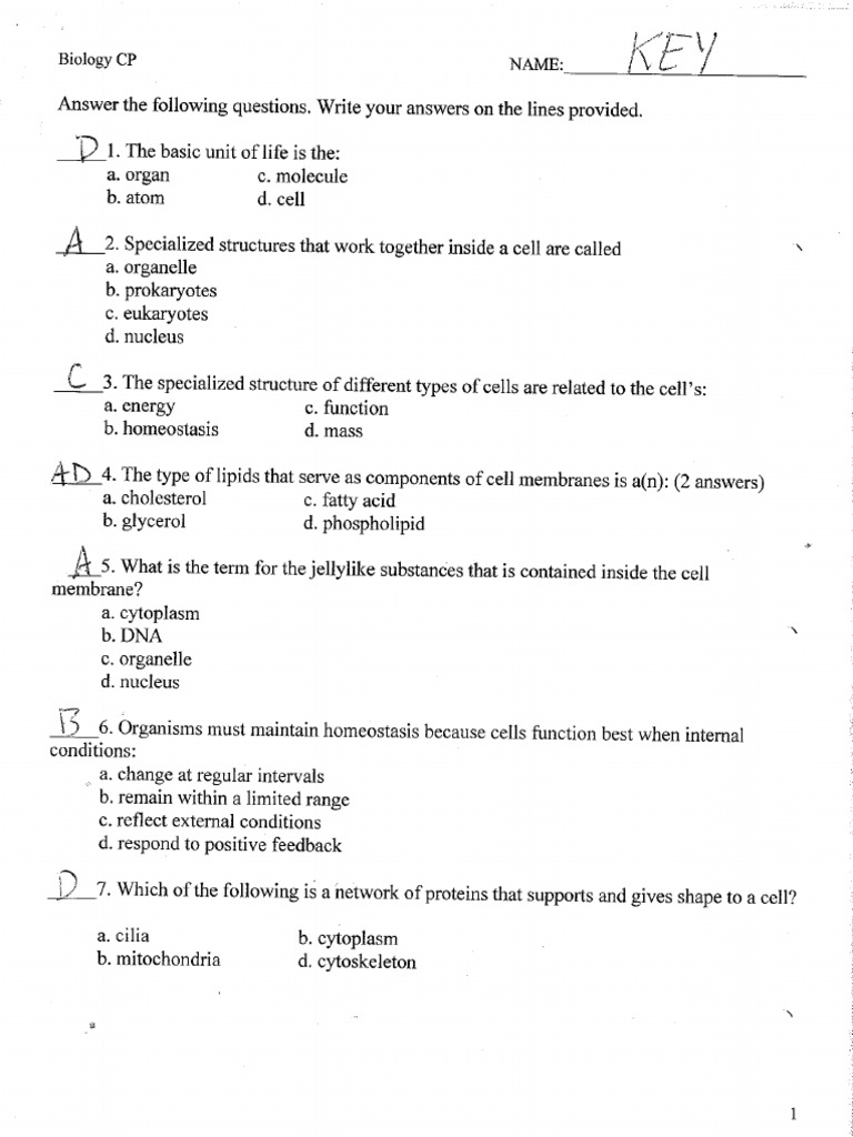 Cell Structure and Function HW KEY | PDF