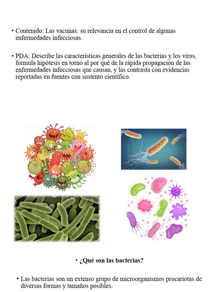 Bacterias y Virus | PDF | Virus | Las bacterias