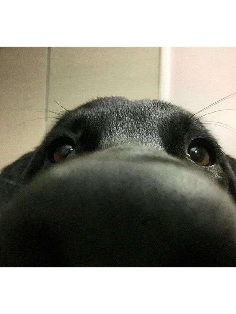 Fu FSD WJWW AEVOqx | PDF