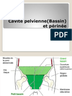 Rectum | PDF | Rectum | Gastroentérologie