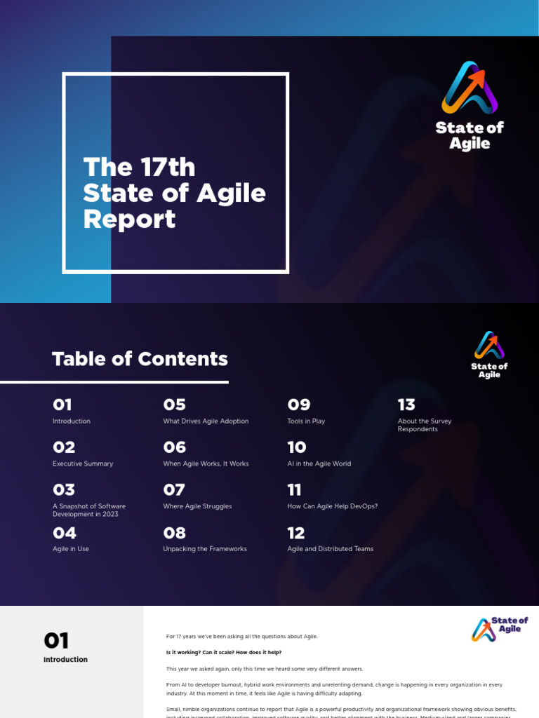 RE SA 17th Annual State of Agile Report | PDF | Agile Software ...