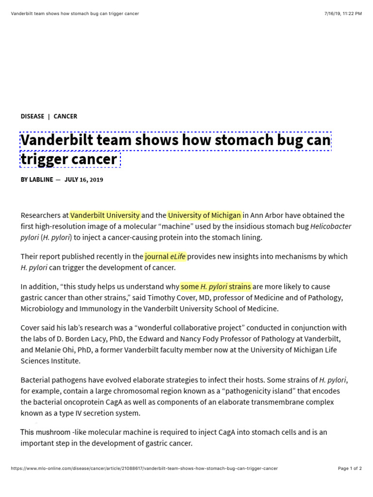 Vanderbilt Team Shows How Stomach Bug Can Trigger Cancer | PDF | Cancer | Epidemiology
