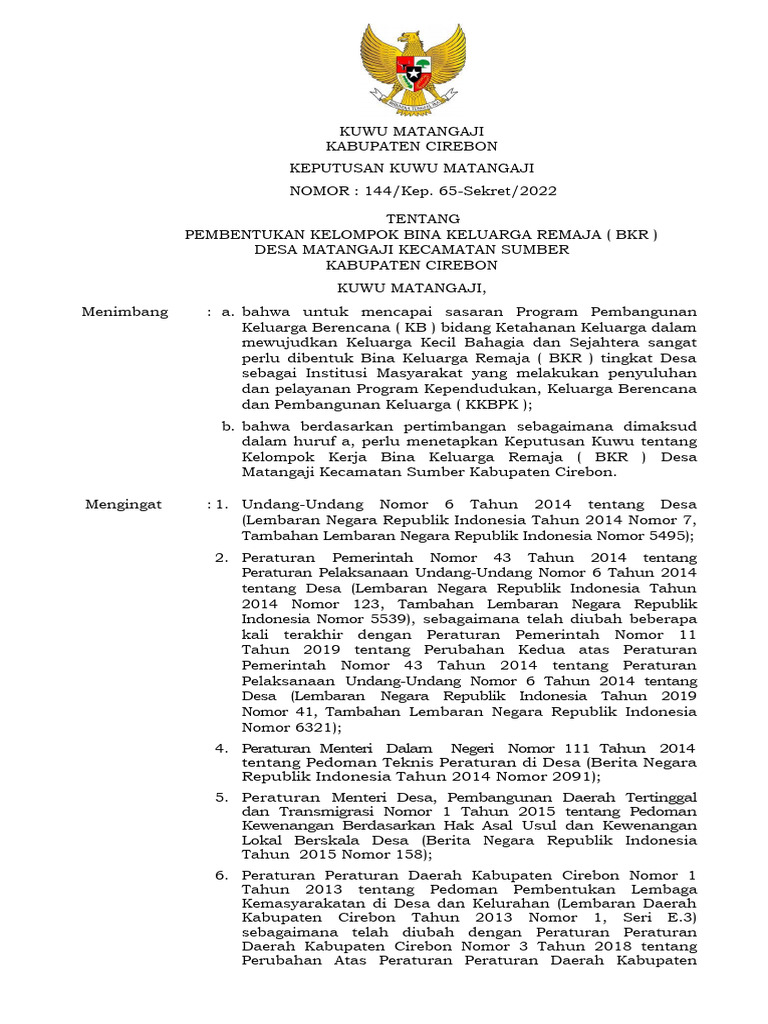 SK PKK Bina Keluarga Remaja (BKR) | PDF