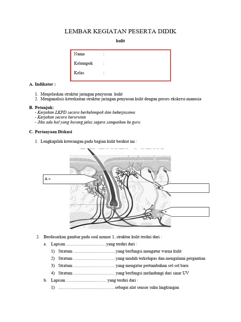 LKPD Kulit | PDF