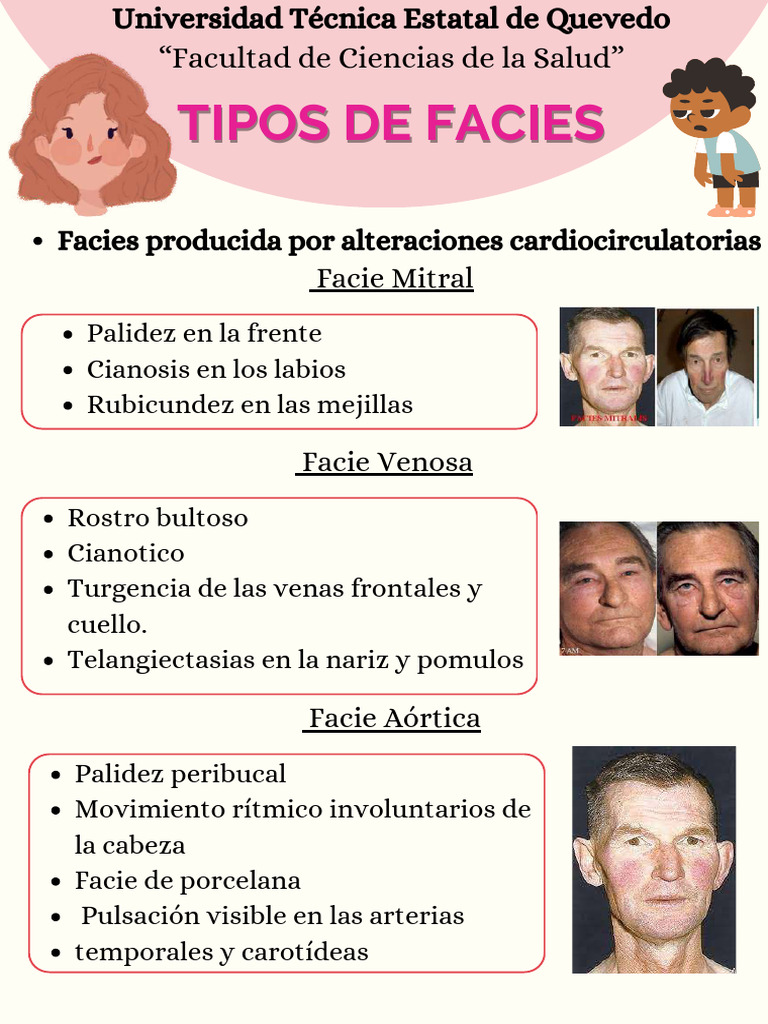 TIPOS DE FACIES (7) - Compressed | PDF | Cara | Anatomía