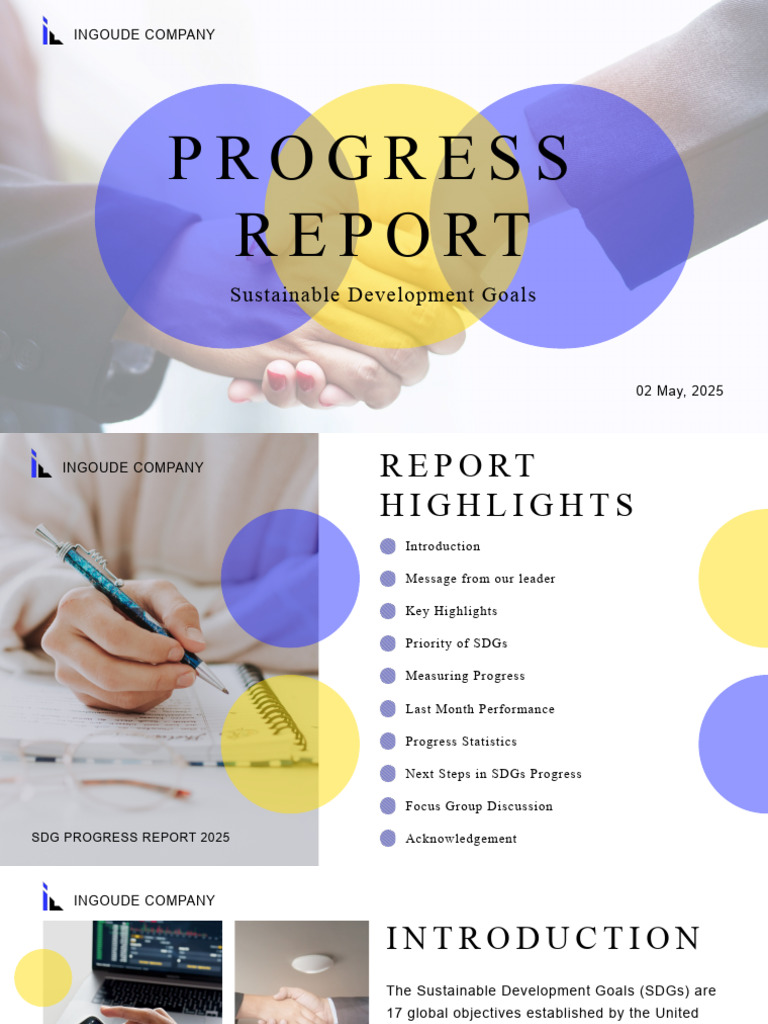 INGOUDE SDG Progress Report 2025 | PDF | Sustainability | Economies