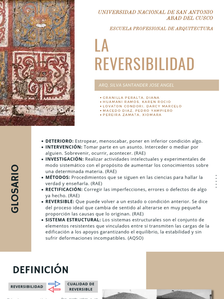 Grupo 5, Reversibilidad, Patrimonio | PDF