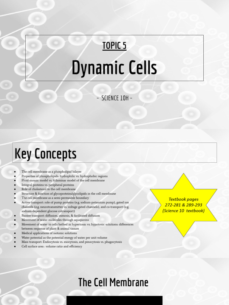 Topic 5 - Dynamic Cells | PDF | Cell Membrane | Lipid Bilayer