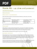 Life Cycle of A Koala | PDF