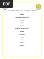 Que Es La Ingle | PDF | Estudios de idiomas extranjeros | Salud y bienestar