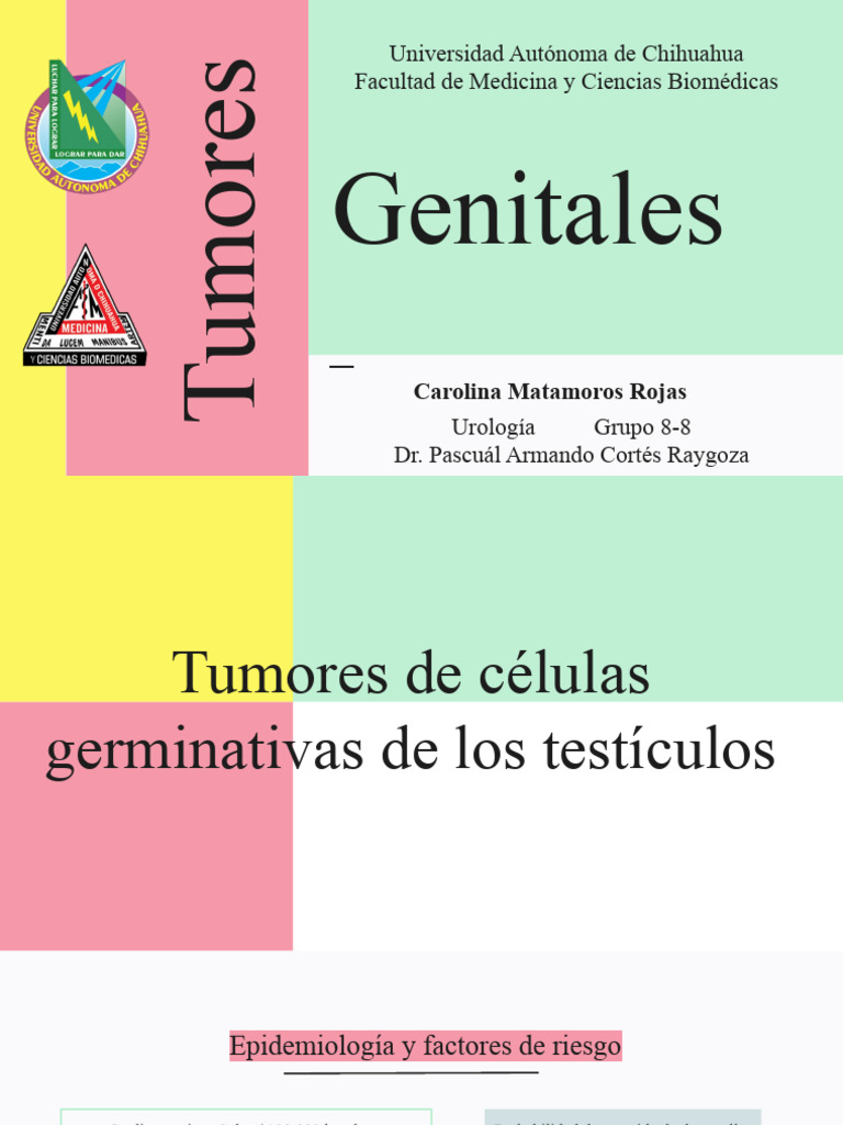 Tumores Genitales Urología | PDF | Cáncer | Neoplasias