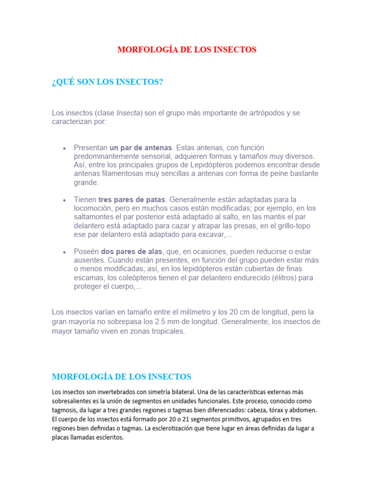 Morfología de los Insectos: Estructura y Función | PDF | Insectos ...