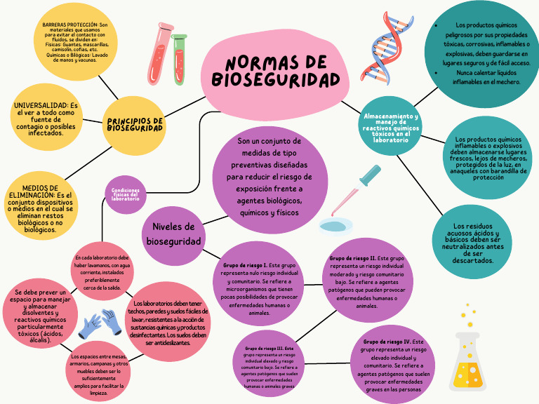 Mapa Mental Bioseguridad y Tecnicas de Laboratorio | PDF | Laboratorios ...