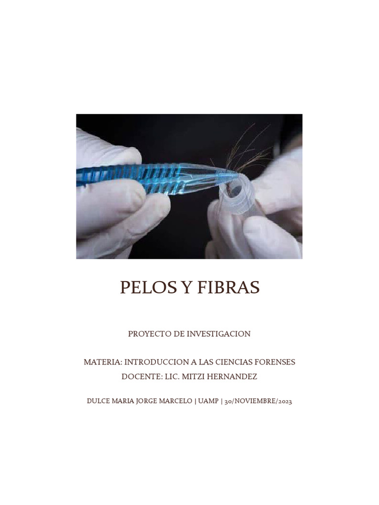 Pelos y Fibras | PDF | Pelo | Fibra sintética