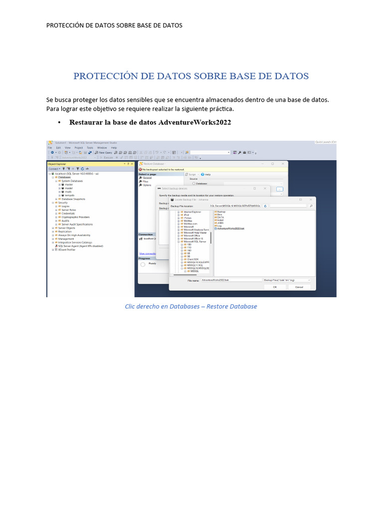 Tarea SQL | PDF | Bases de datos | Seguridad