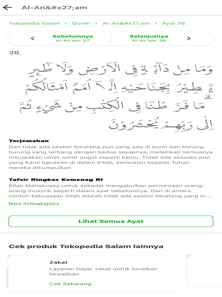 Al-Quran Online Surat Al-An' Am Ayat 38 Dan Tafsir Ayat Tokopedia Salam | PDF