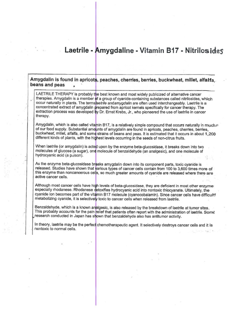 Amygdaline Info | PDF