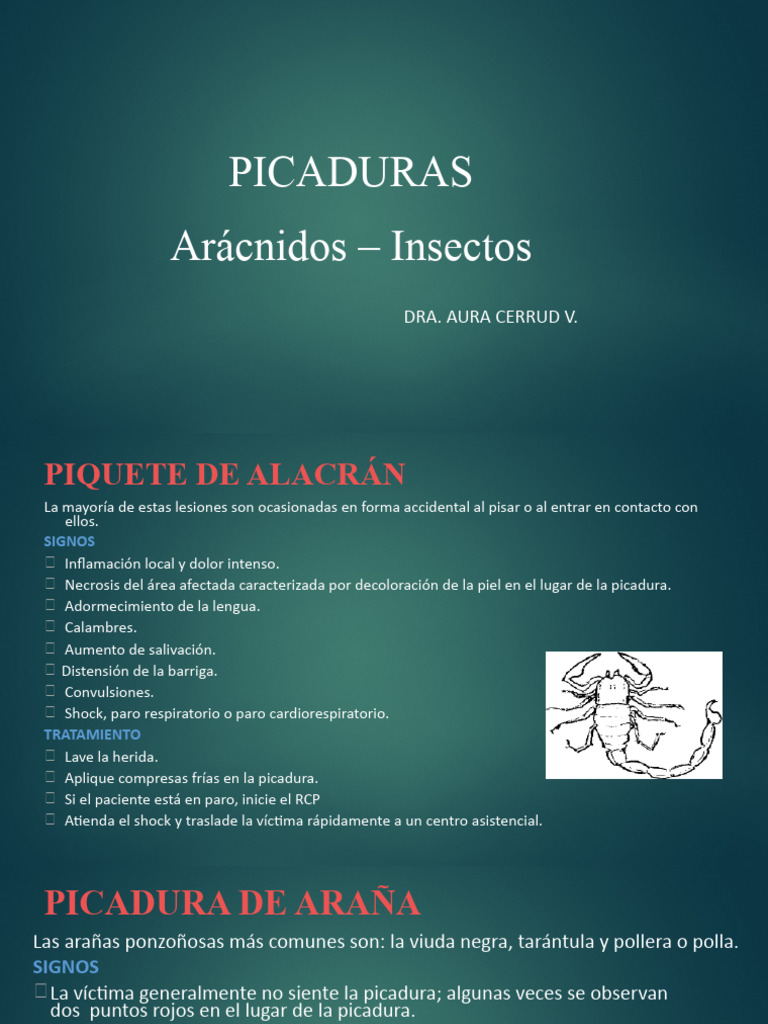 Picaduras de Arácnidos e Insectos | PDF | Avispa | Enfermedades y ...