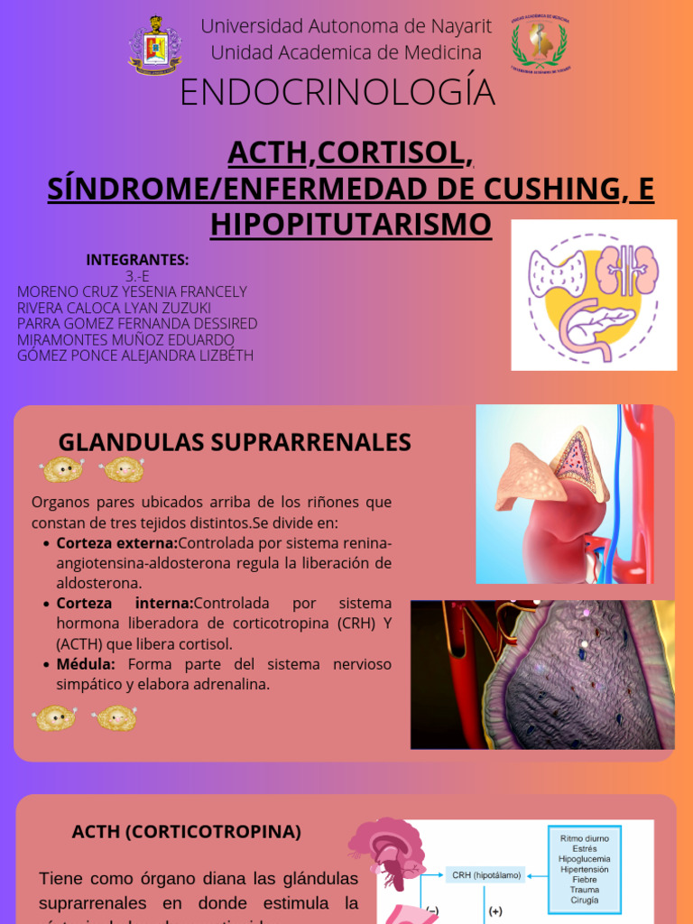 Sindrome de Cushing, Enfermedad de Cushing y Hipopituratismo | PDF ...