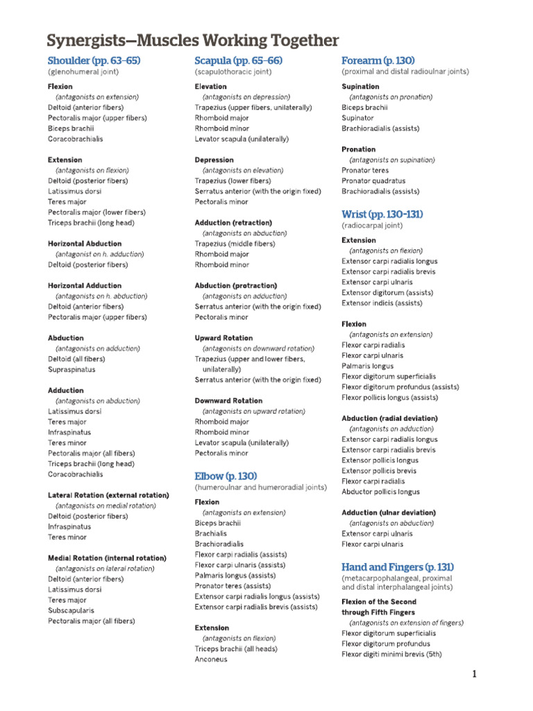 List of Muscles Action | PDF