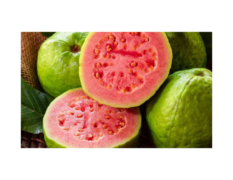 Guayaba | PDF