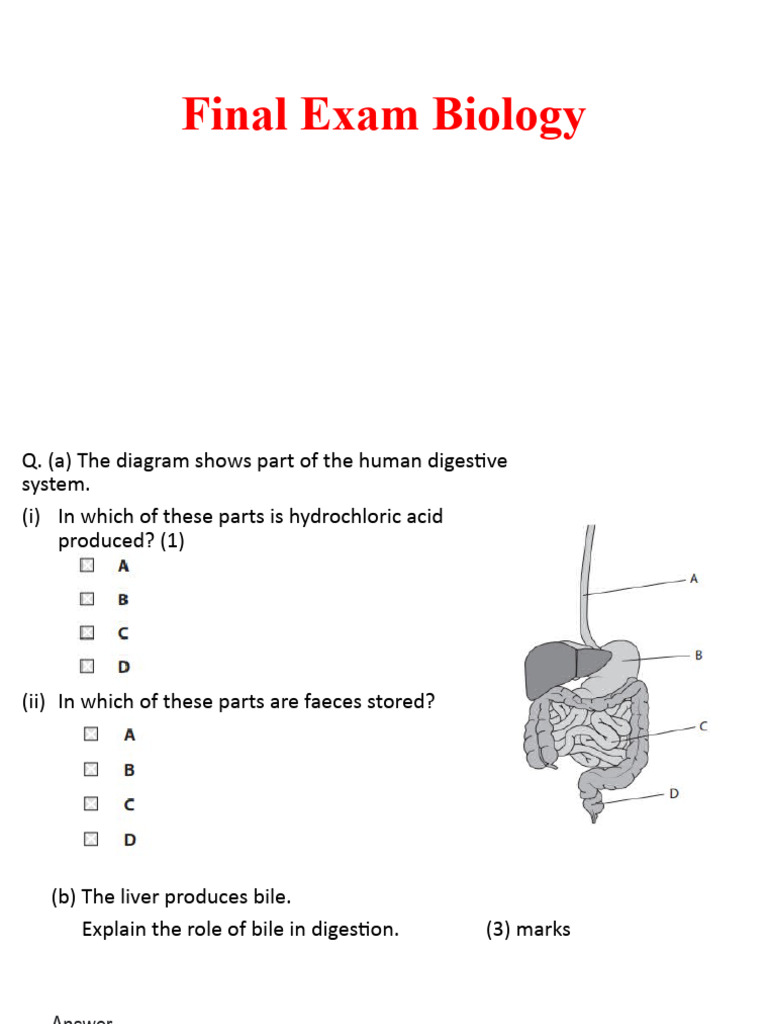 Final Exam Practise | PDF | Reproduction | Flowers