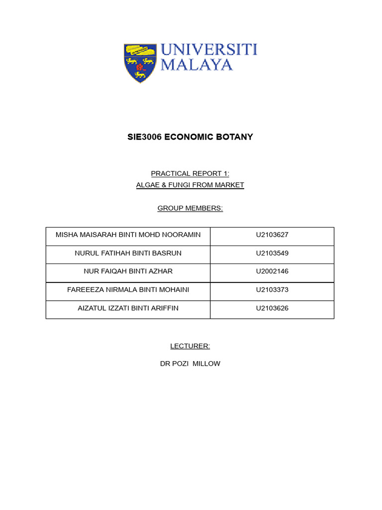 Sie3006 - Practical Report 1 | PDF | Mushroom | Food Ingredients