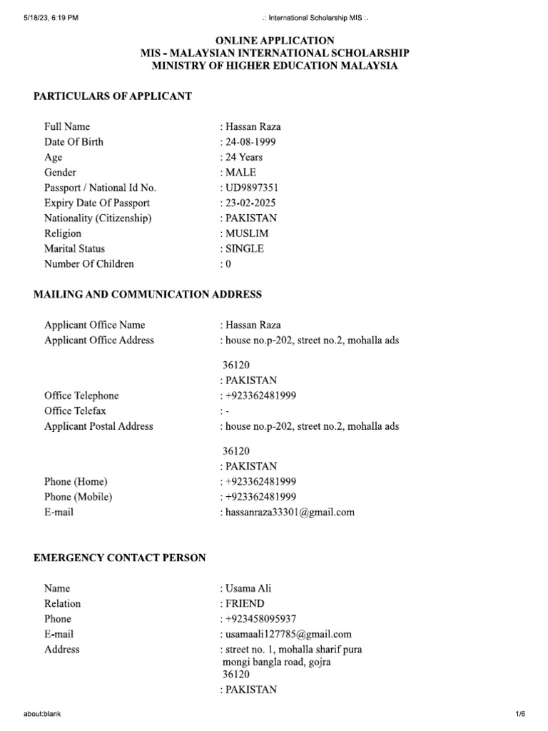 Application Summary (MIS) Hassan | PDF