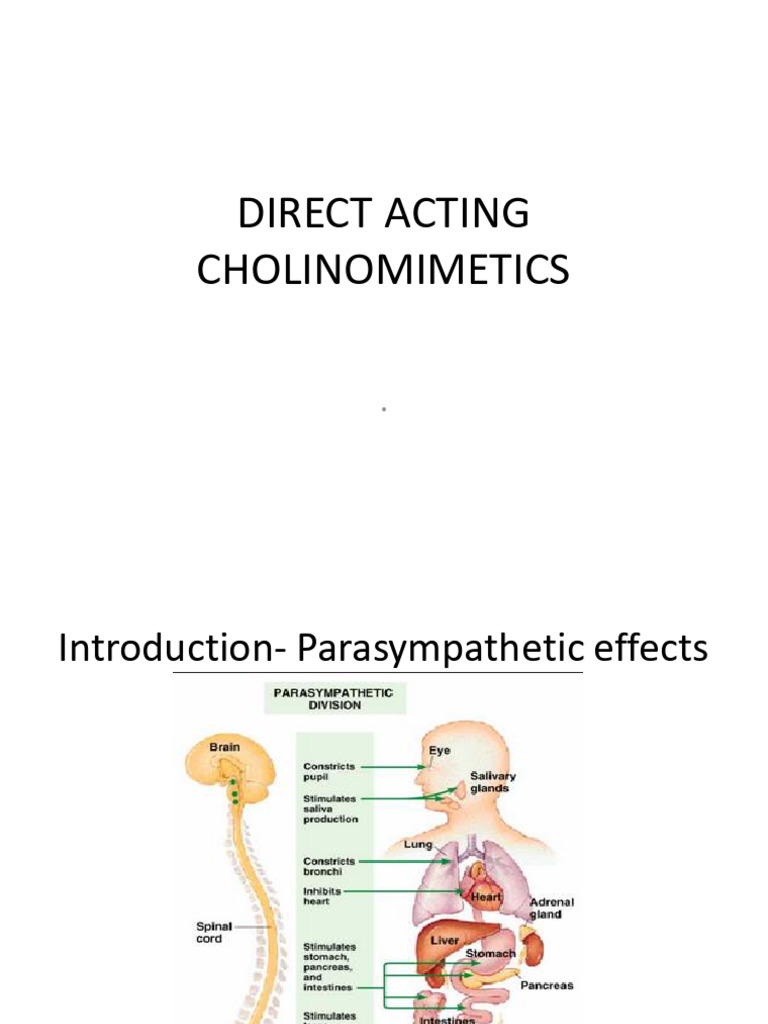 Direct Acting Cholinomimetics - BSN - 23 | PDF | Acetylcholine | Physiology