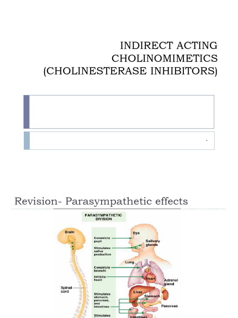 Indirect Acting Cholinomimetics - BSN | PDF | Enzyme Inhibitor ...