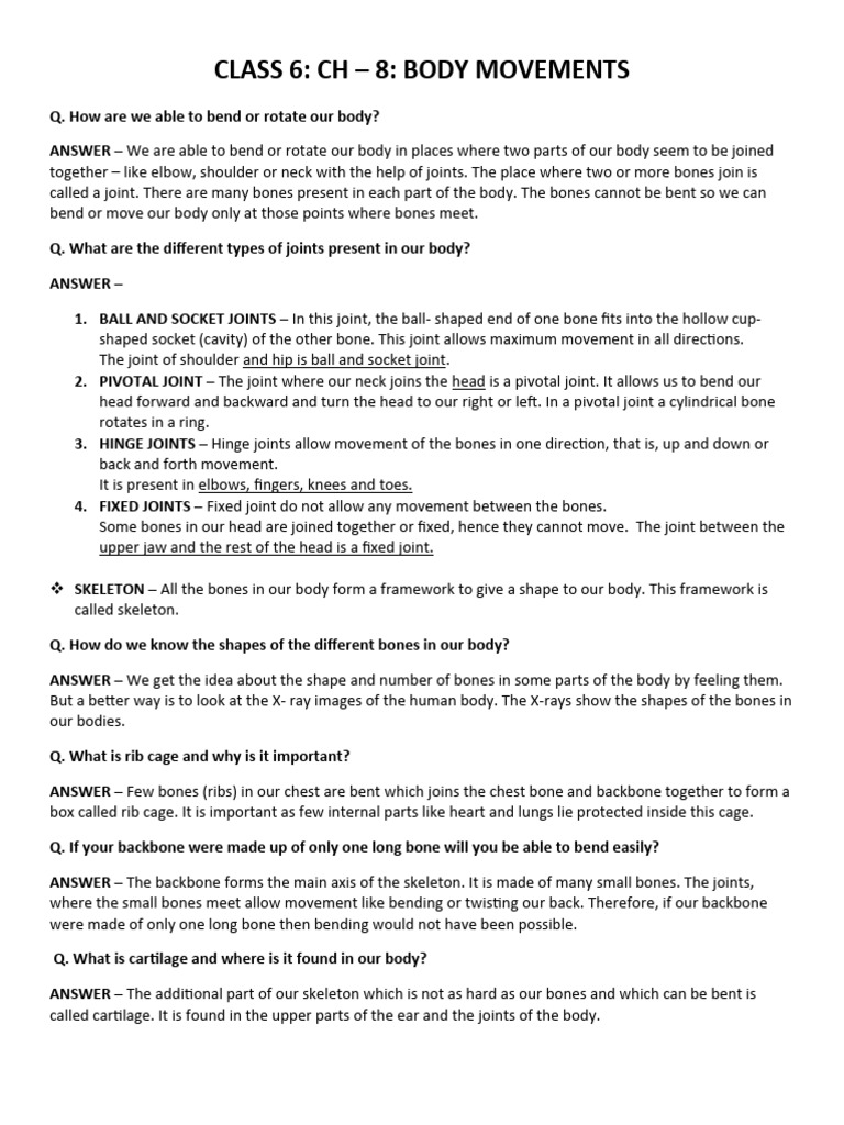 Class 6 Body Movements Notes | PDF | Skeleton | Thorax