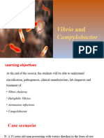 BAM Chapter 9. Vibrio | PDF | Science & Mathematics