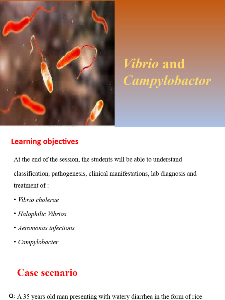 Vibrio and Campylobacter | PDF | Cholera | Public Health