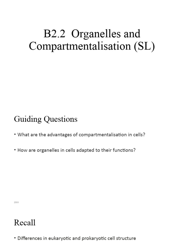 B2.2 Organelles and Compartmentalisation SL (Autosaved) | PDF | Cell ...