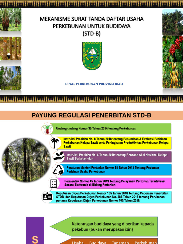 Format STDB | PDF | Sains & Matematika