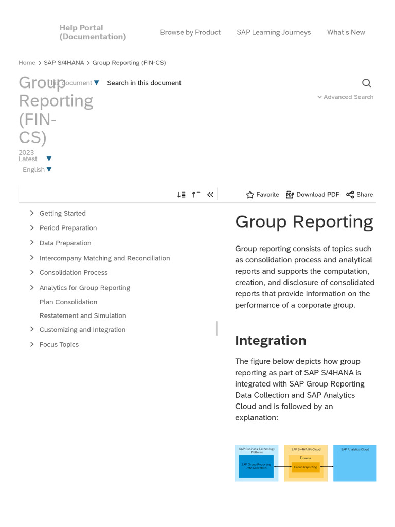 Group Reporting - SAP Help Portalfdp | PDF | Analytics | Simulation