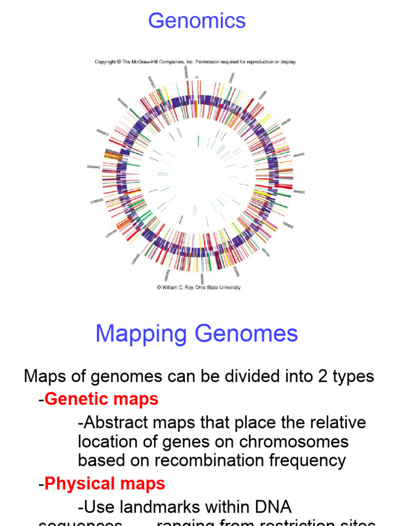 Lecture 3 - Genome Mapping | PDF | Gene | Dna Sequencing