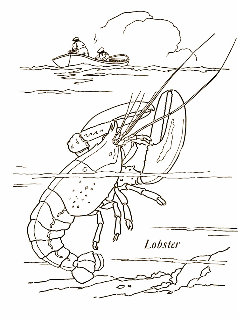 Lobster Coloring Page GraphicsFairy | PDF
