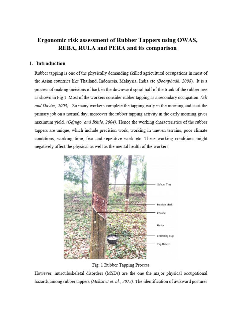 Ergonomic Risk Assessment of Rubber Tappers Using OWAS, REBA, RULA and ...