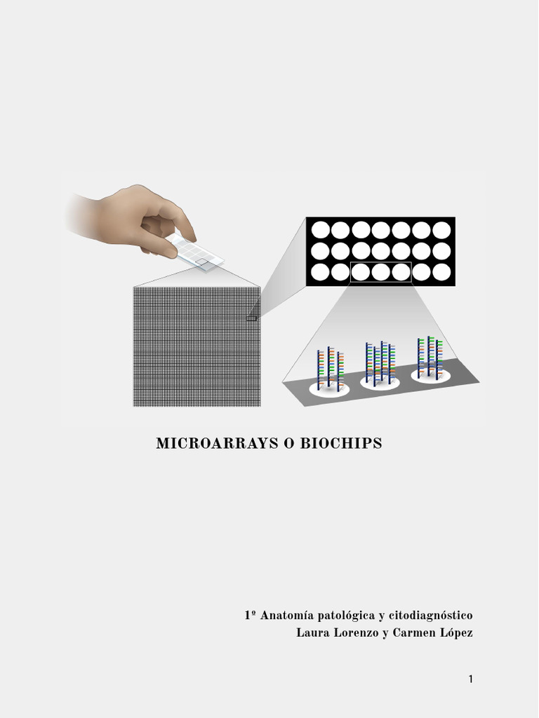 Trabajo Biología Molecular - MICROARRAYS | PDF | Adn Microarray | Adn