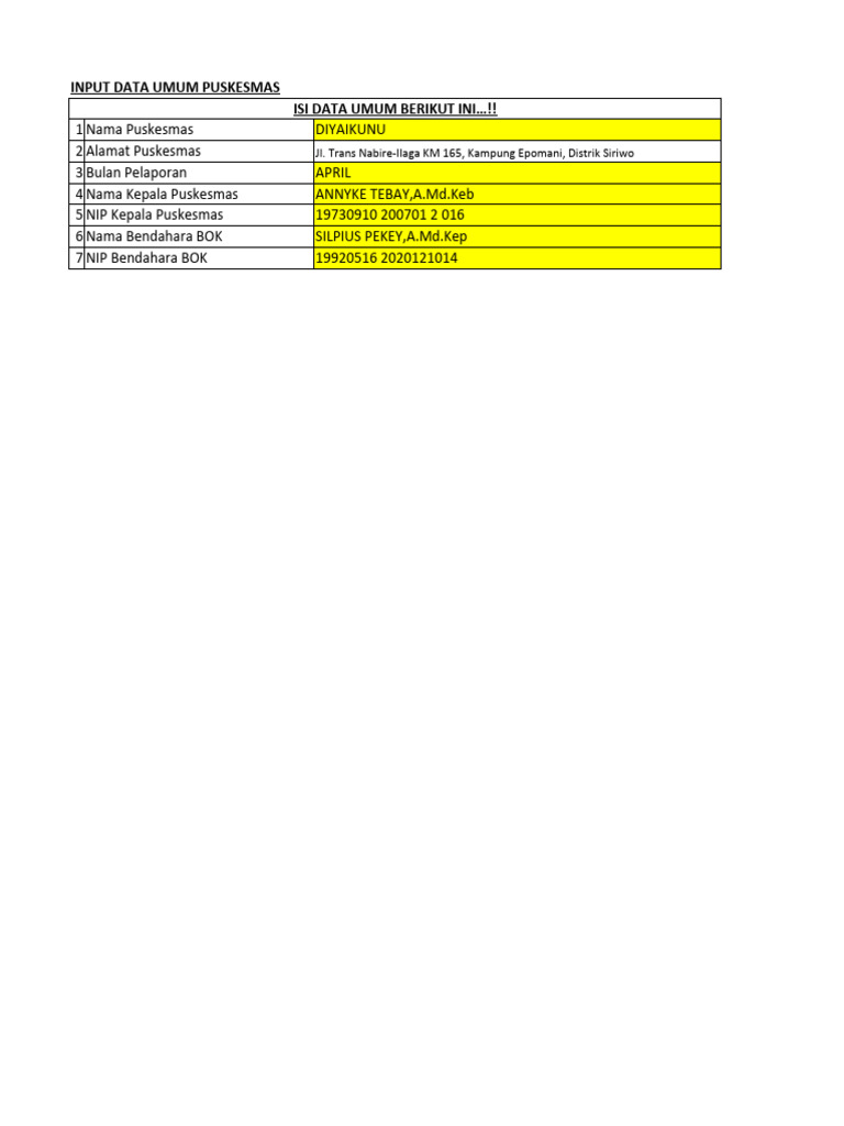 04 - Format Rekapan LPJ Bok Puskesmas | PDF