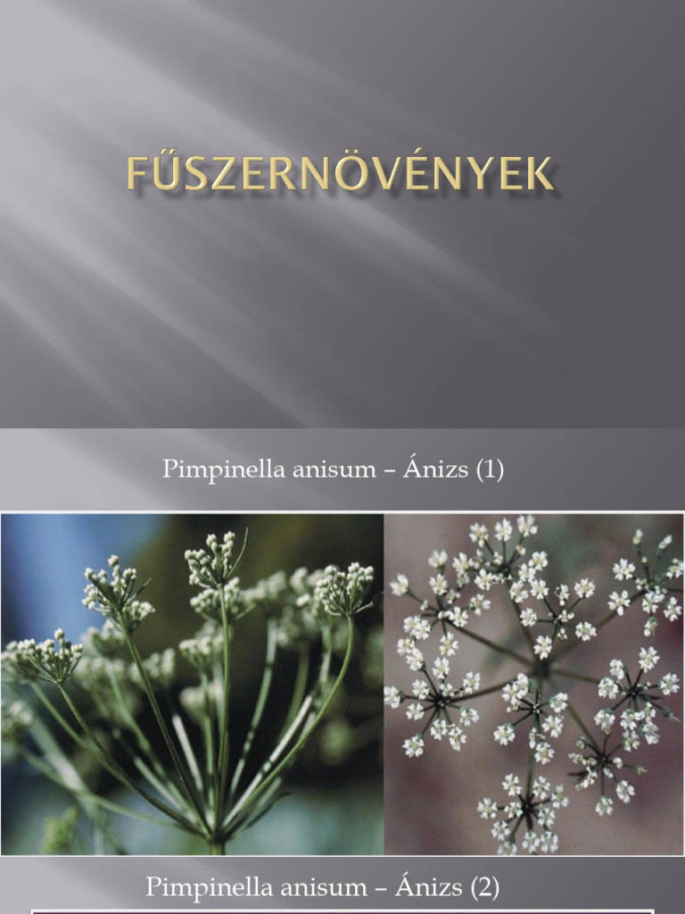 Képek Fűszernövények | PDF