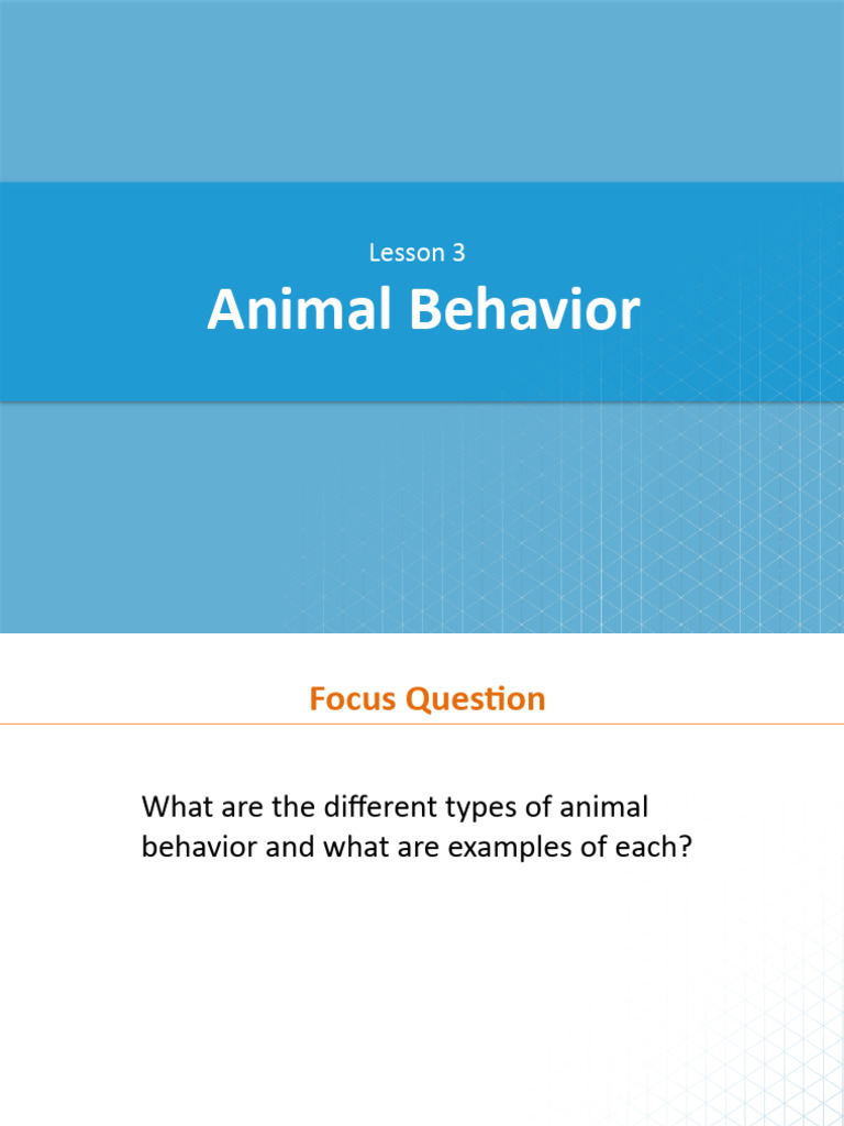 Types of Animal Behavior Explained | PDF | Ethology | Instinct