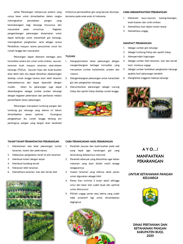 Leaflet Pemanfaatan Pekarangan | PDF