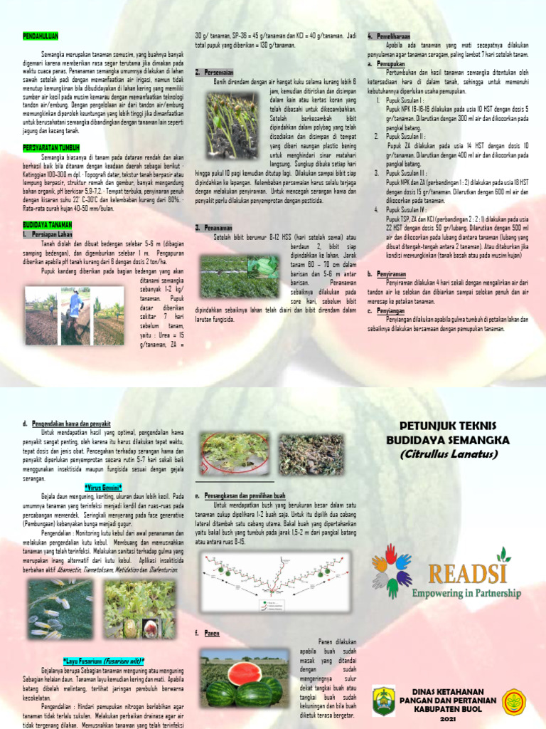Leaflet Budidaya Semangka | PDF | Griya & Taman