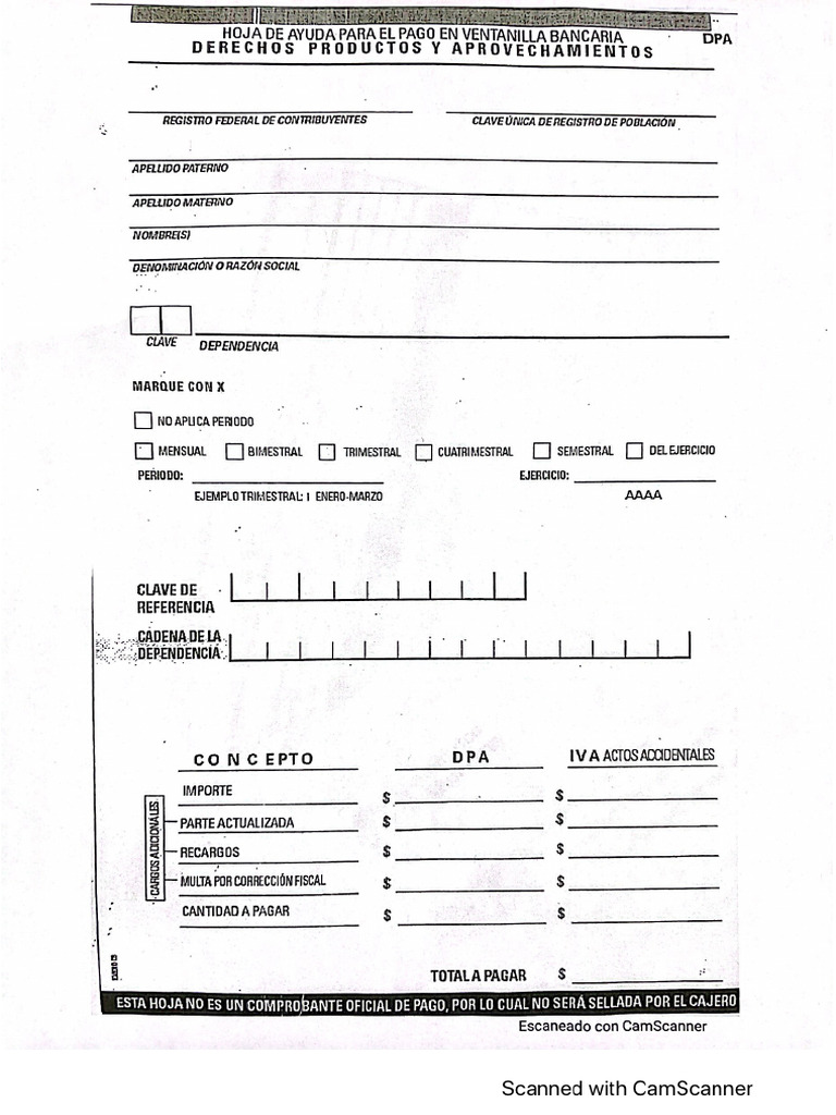 Formato para Llenar | PDF