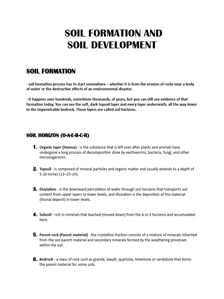 Soil Formation and Soil Development | PDF | Soil | Clay