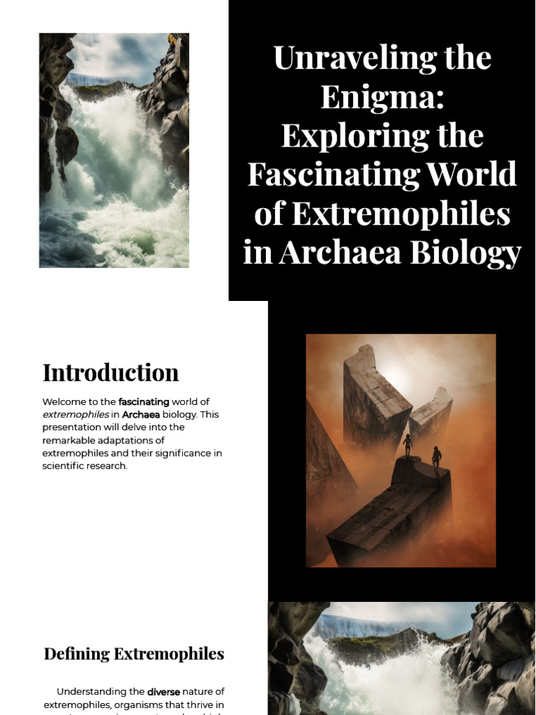 Extremophiles: Archaea's Wonders | PDF | Archaea | Life